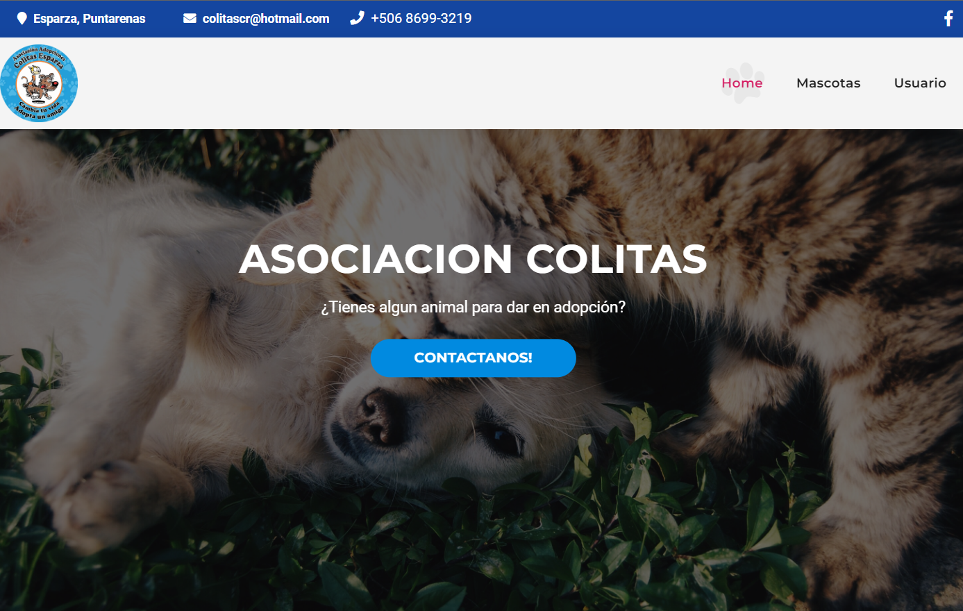 Portafolio Alonso Chaves